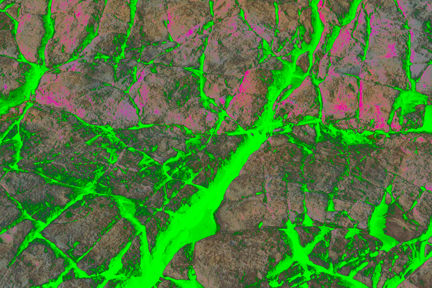 Man Ray Solarization Investigation (Sabattier Effect) - MA Photographic ...